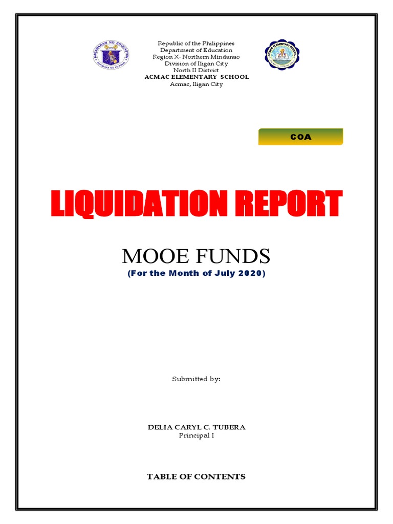 Liquidation Report: Mooe Funds | PDF