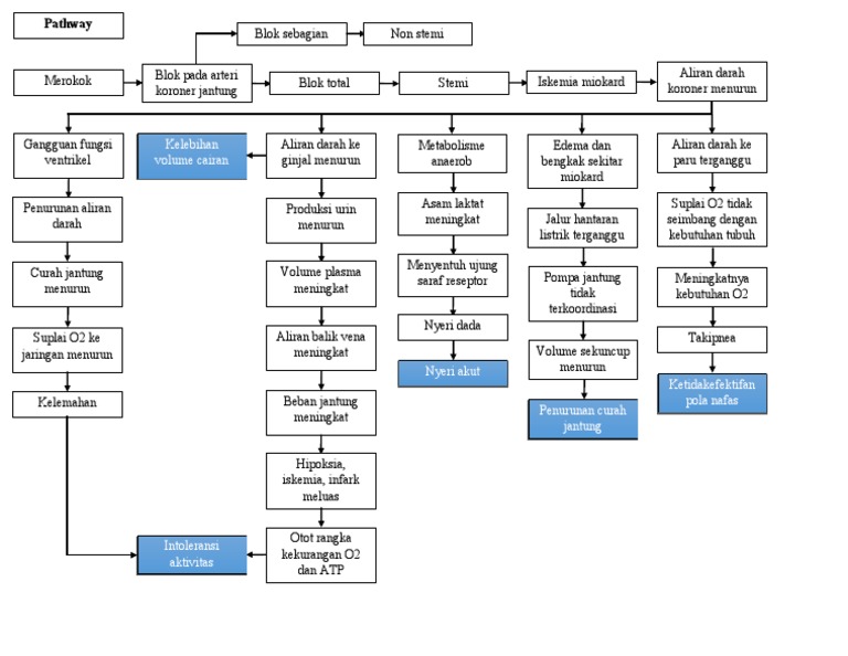 Pathway Stemi Inferior | PDF