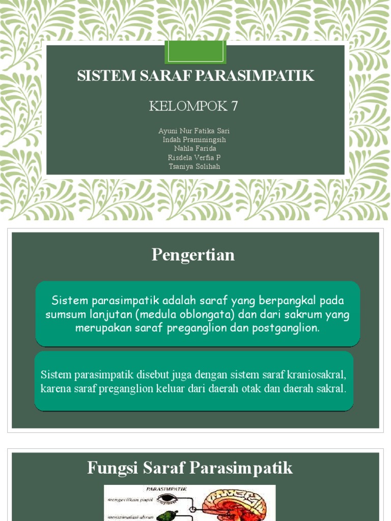 Sistem Saraf Parasimpatis | PDF | Kesehatan Holistik