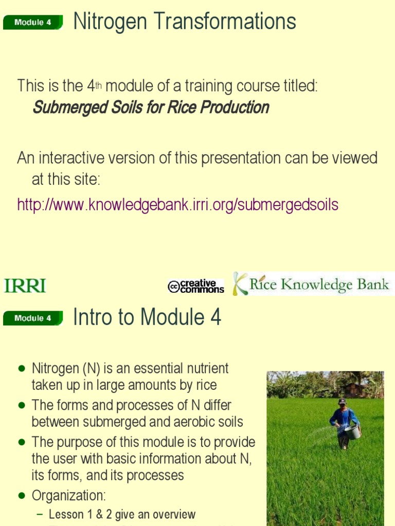 Module 4 Ver 4 Nitrogen Transformation | PDF | Fertilizer | Soil