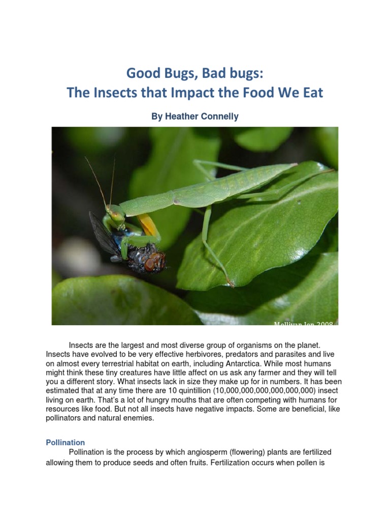 Good Bugs, Bad Bugs: The Insects That Impact The Food We Eat | PDF ...