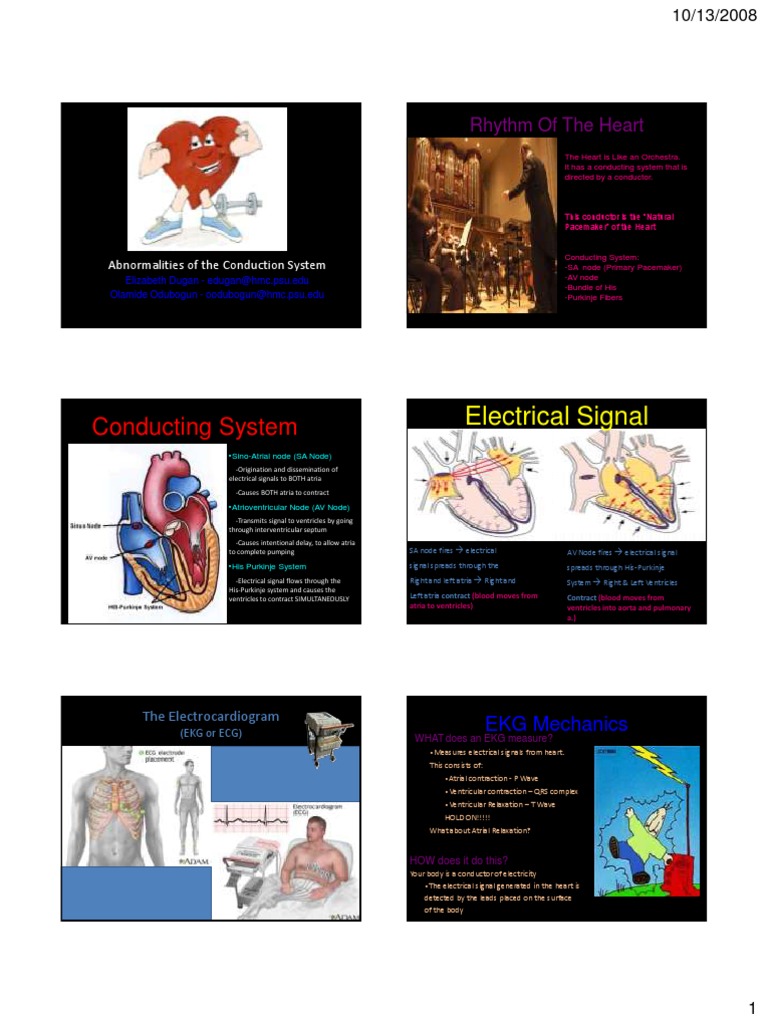 Conducting System: Electrical Signal | PDF | Heart | Ventricle (Heart)