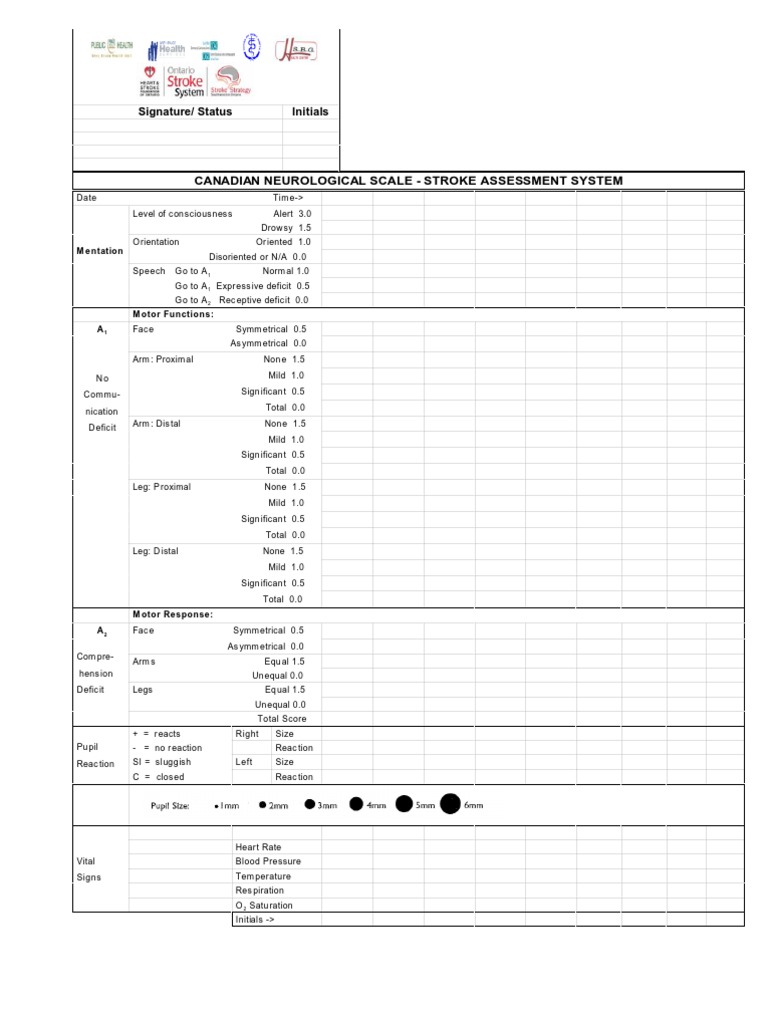 Canadian Neurological Scale - Stroke Assessment System: Signature ...