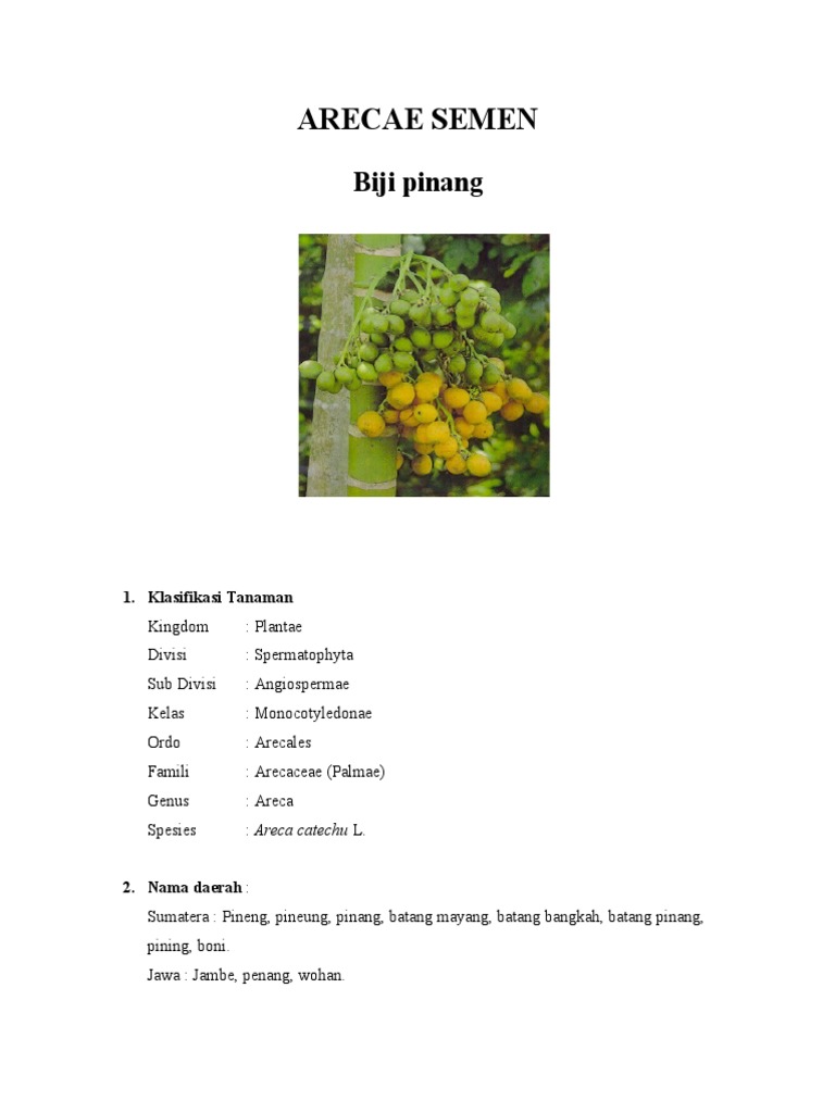 Arecae Semen | PDF