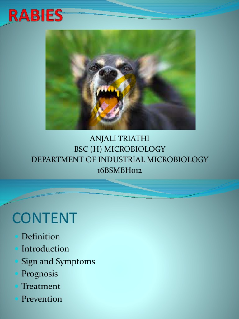 Rabies 191106091318 | PDF | Rabies | Microbiology