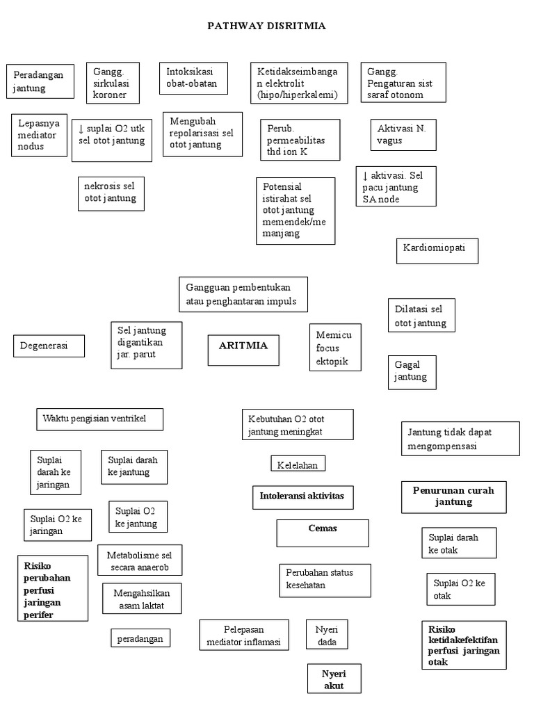 Pathway Aritmia | PDF