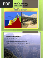 Clima y Biodiversidad de la Yunga | PDF | Plantas | Naturaleza