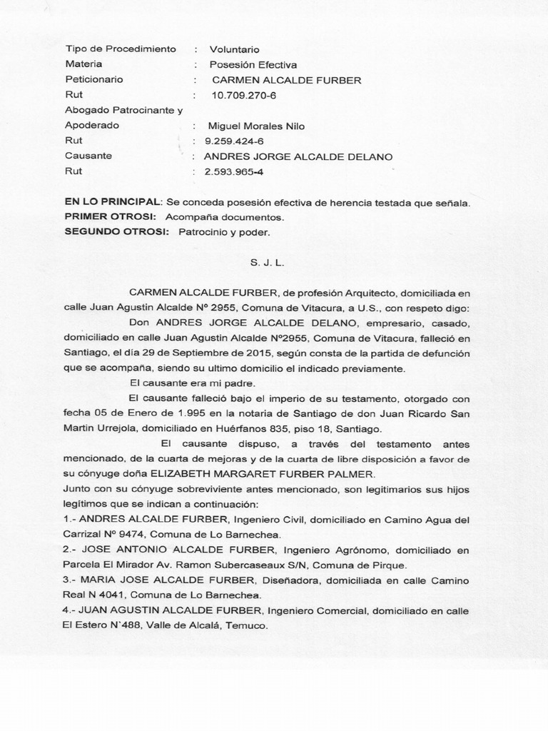 Solicitud 2 Posesion Efectiva Testada | PDF