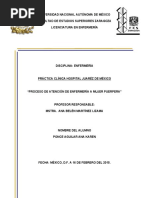 11 Tipos de Incisiones para Una Cesarea | PDF | Parto | El embarazo