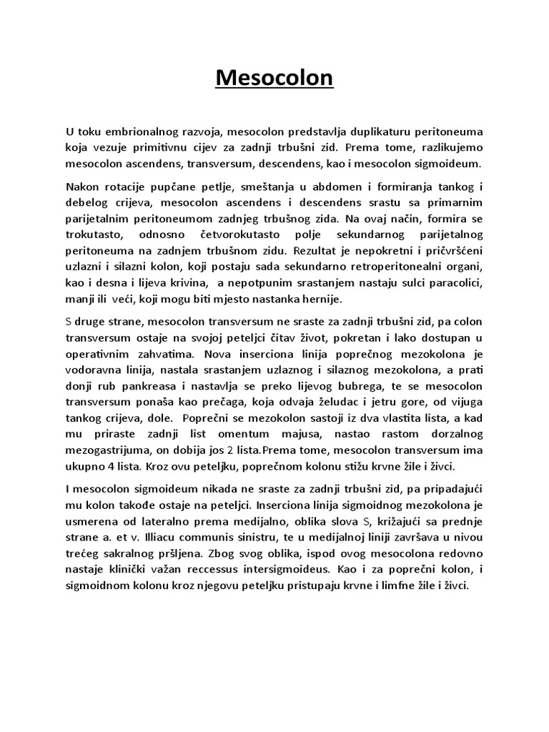 Mesocolon | PDF