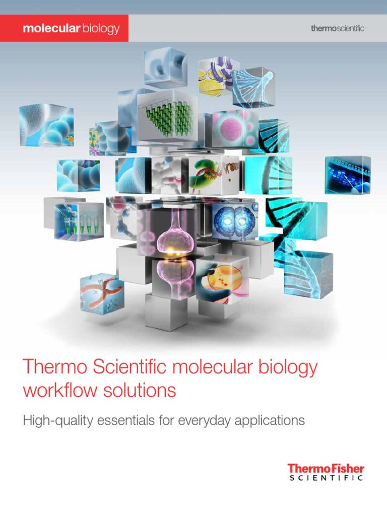 FERMENTAS Thermo-Scientific-Molecular-Biology-Workflow-Solutions ...