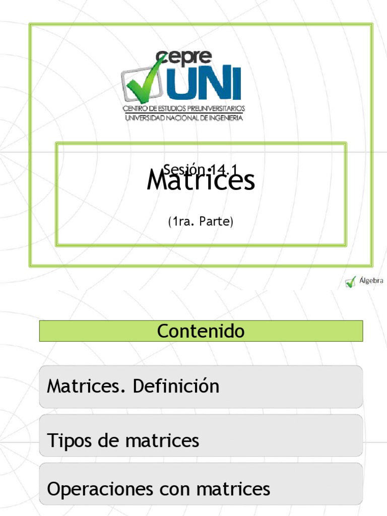 Clase 14.1 Matrices (Parte 1) | PDF | Matriz (Matemáticas) | Análisis funcional