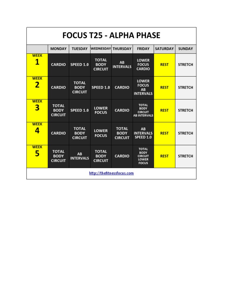 Focus T25 - Alpha Phase 1 2 3 4 5: Cardio SPEED 1.0 Total Body Circuit ...