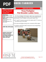 PLANNING and Steps in Police Operation and Crime Mapping | PDF ...