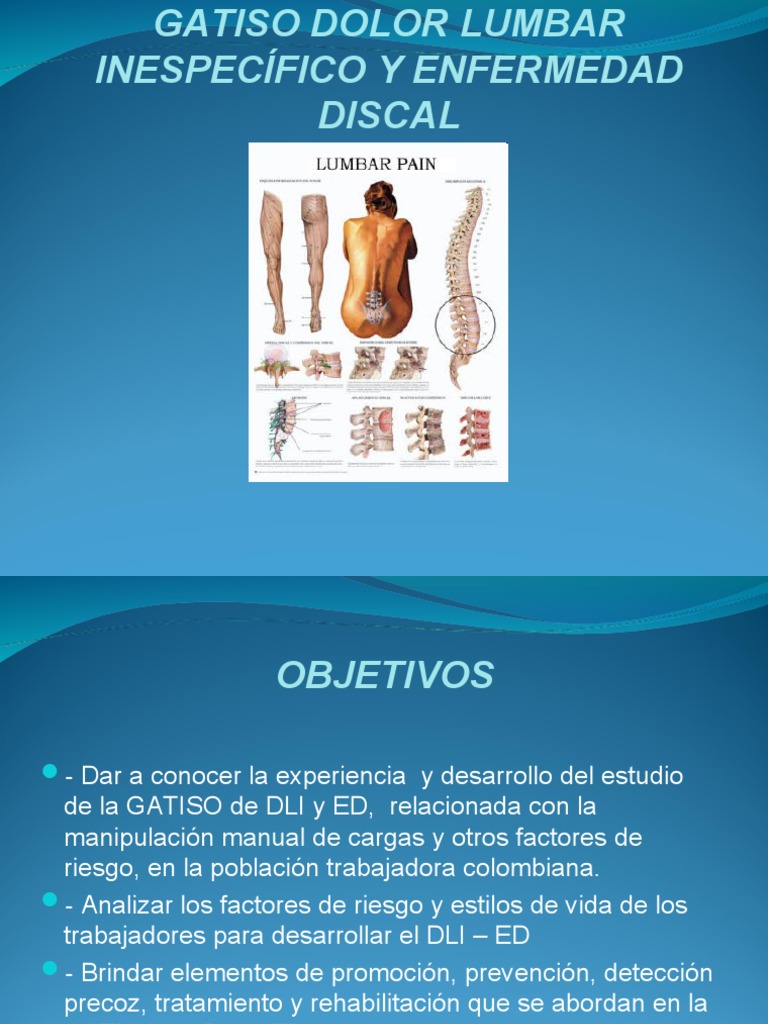 Gatiso Lumbar | PDF | Dolor lumbar | Factores humanos y ergonomía