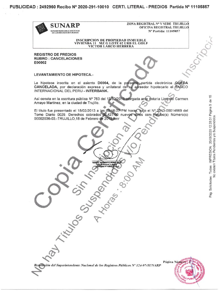 Anexo A - Partida Electrónica PDF | PDF