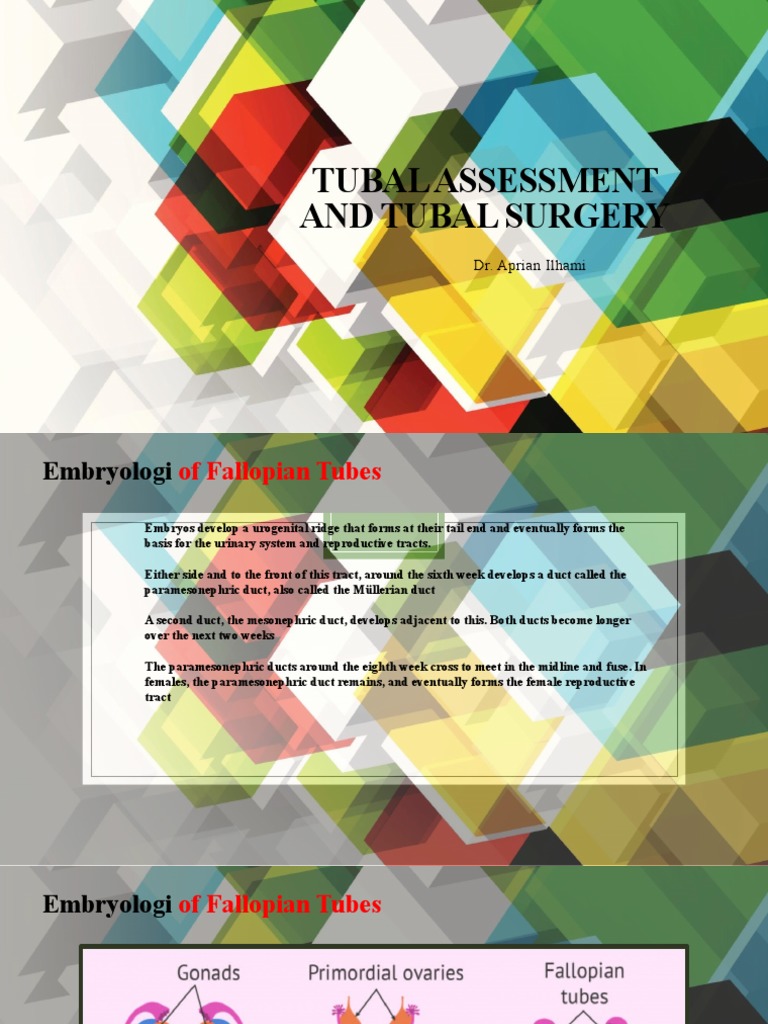 Tubal Assessment and TuBAL SURGERY | PDF | Women's Health | Sexual Anatomy