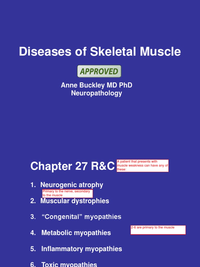 Diseases of Skeletal Muscle Final | Download Free PDF | Neuromuscular ...