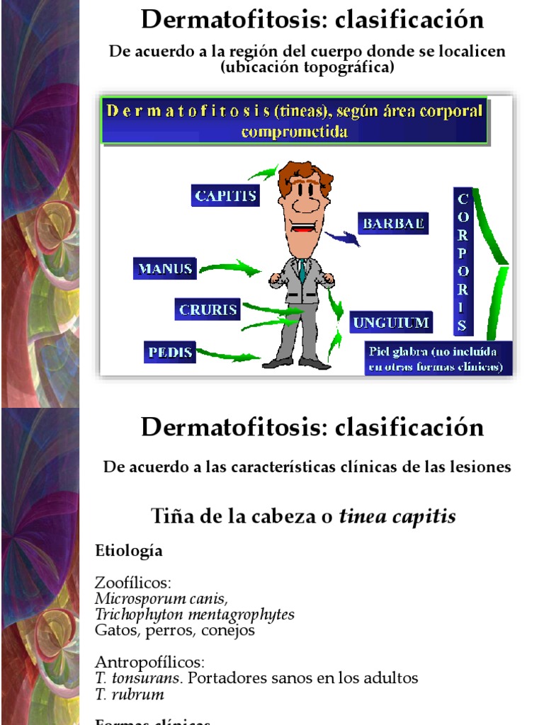 Dermatofitosis 1 | PDF | Epidemiología | Enfermedades animales