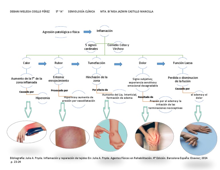 Mapa Conceptual INFLAMACIÓN | PDF