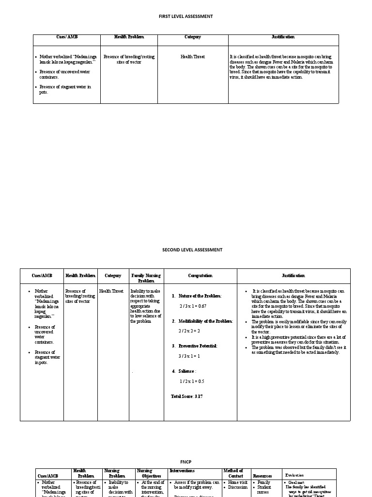 Example of 1ST and 2ND Level Assessment | PDF | Mosquito | Malaria
