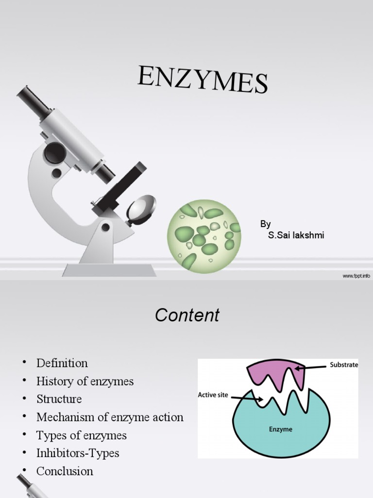 Enzymes | PDF