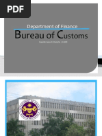 BOC's Org Chart | PDF