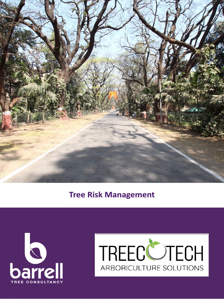 Treecotech Urban Tree Risk Management PDF | PDF | Risk | Trees
