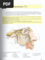 Anatomie du diaphragme stylien | PDF | Tête et cou chez l'humain ...