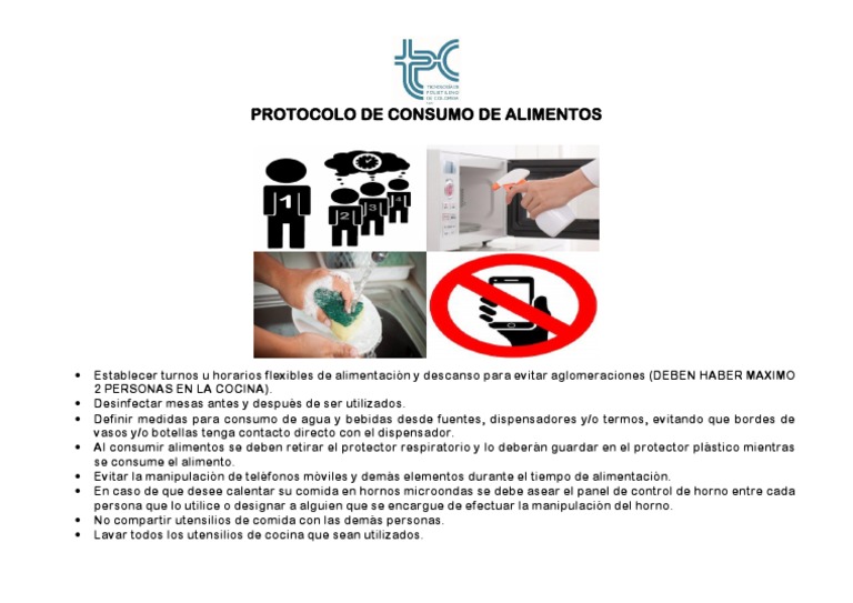 Protocolo de Consumo de Alimentos | PDF