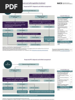 Two-Level Wells Score for DVT Assessment | PDF