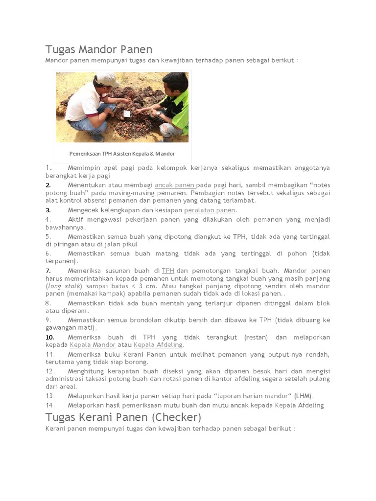 Tugas Mandor Panen | PDF
