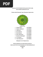 Asuhan Keperawatan untuk DHF Dewasa | PDF