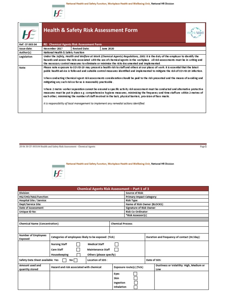 Health & Safety Risk Assessment Form | PDF | Occupational Safety And ...