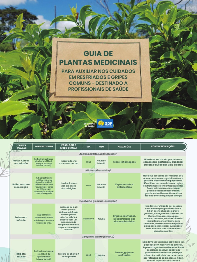 Guia De Plantas Medicinais Pdf Chá Especialidades Médicas