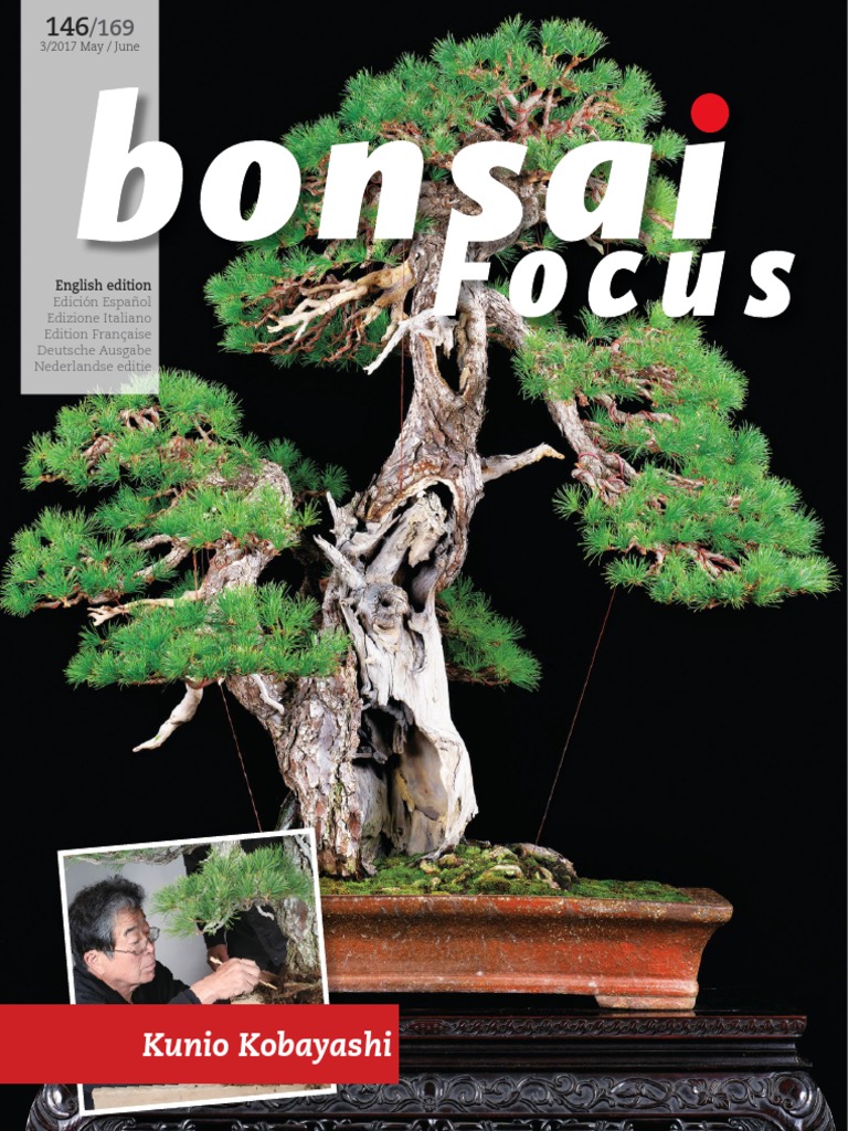 Bonsai Focus MayJune 2017 English Ed PDF | PDF | Pruning | Bonsai