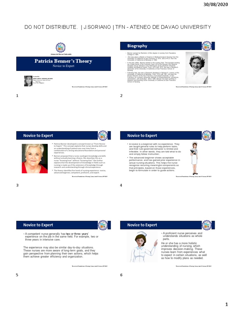 Patricia Benner's Theory PDF | PDF | Nursing | Expert
