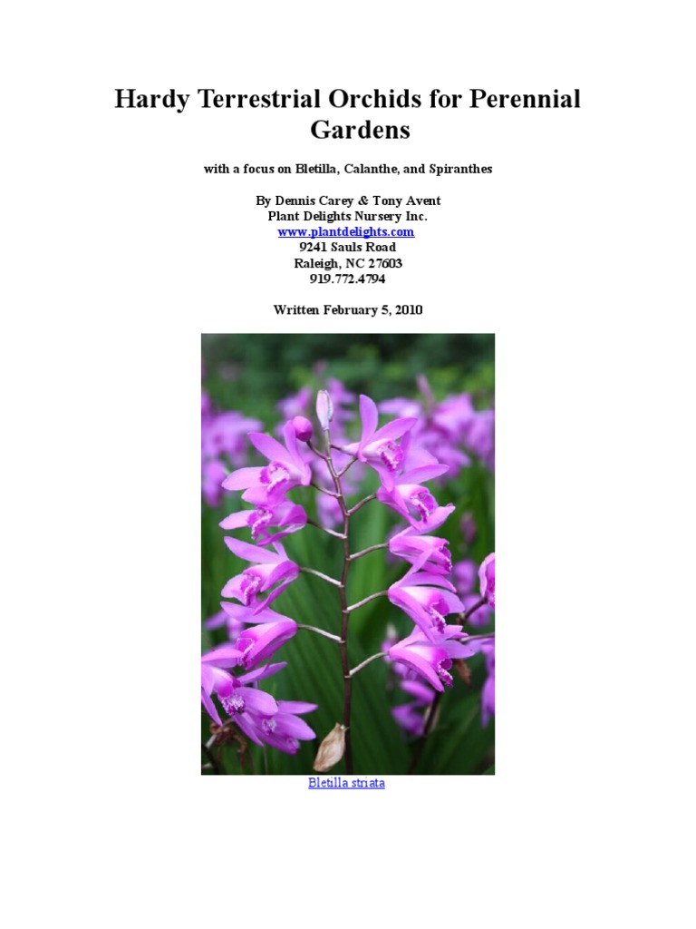 Cold Hardy Orchids For Temperate Gardens | Download Free PDF ...