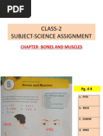 CLASS 3 SCIENCE CHAPTER 3 BIRDS Mrs. Geetarani Das | PDF | Birds | Feather