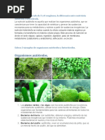 Importancia de los CHONPS en la vida | PDF | Alimentos | Nutrientes