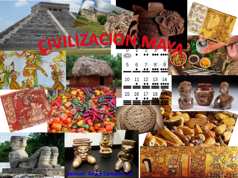 Collage Maya | PDF