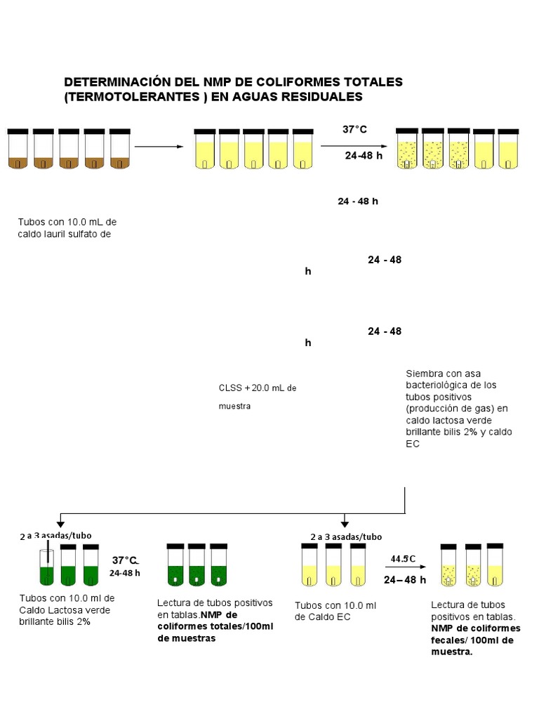 Determinación Del NMP de Coliformes Totales | PDF