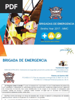 CODIGO - COLORES - BRIGADAS y Conntrol de EPP | PDF