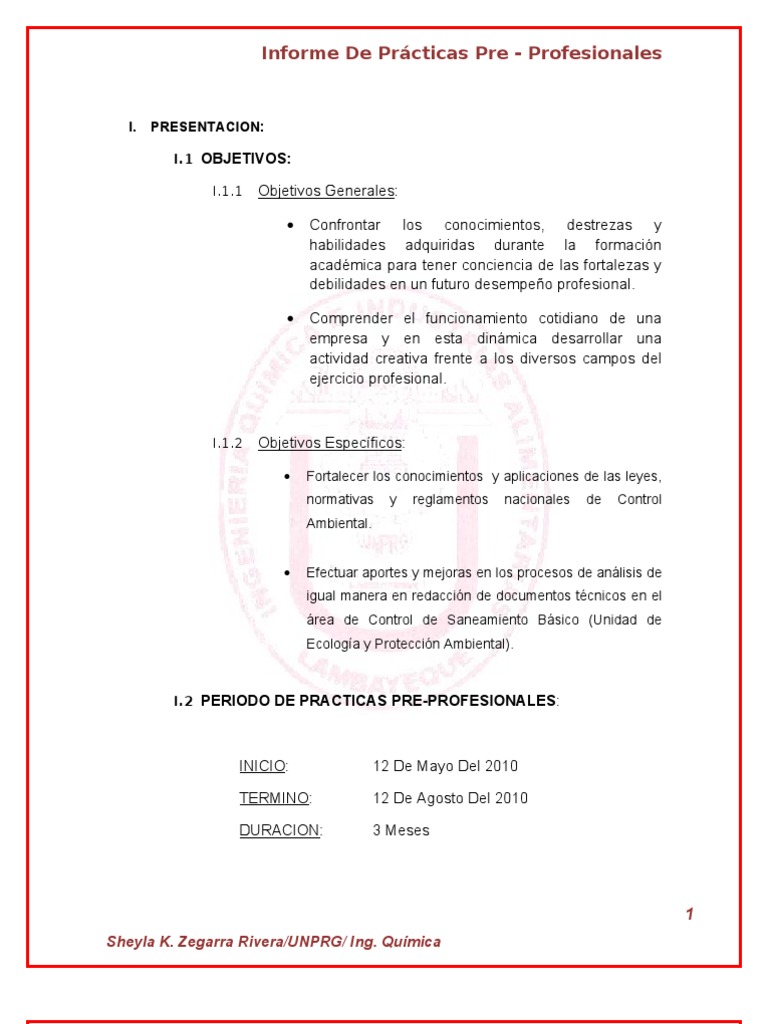INFORME SHEYLA (Corregido) | PDF | La contaminación del aire | Salud Ambiental