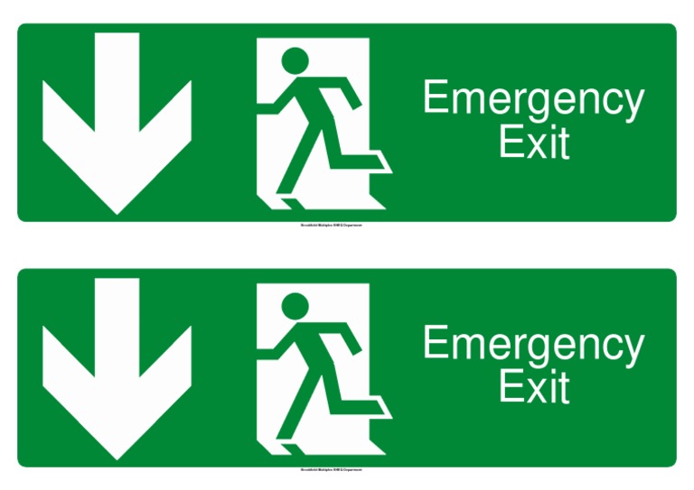 24 Safety Poster - Emergency Exit (Down) | PDF