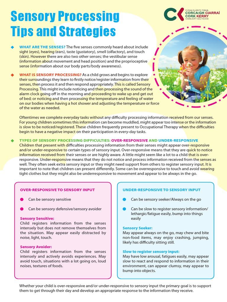Tips For Sensory-Processing | PDF | Senses | Nervous System