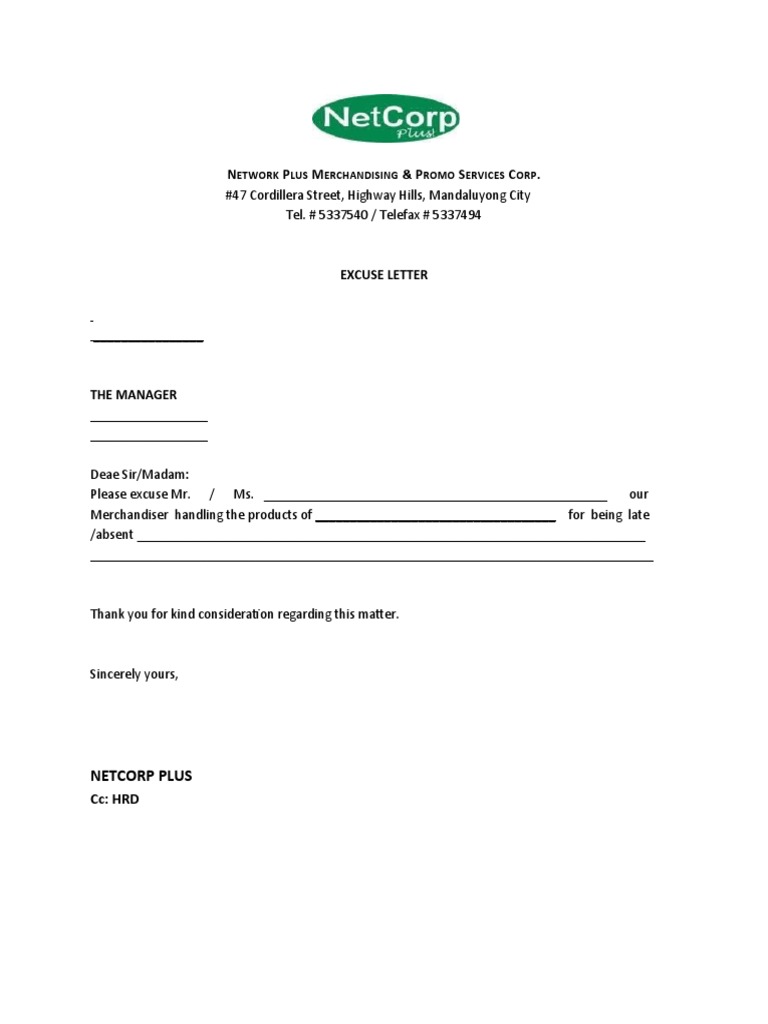 Network Plus Merchandising | PDF