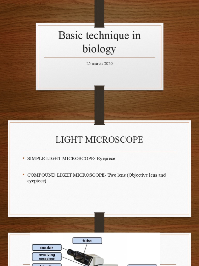 Basic Technique in Biology | PDF | Electron Microscope | Angular Resolution