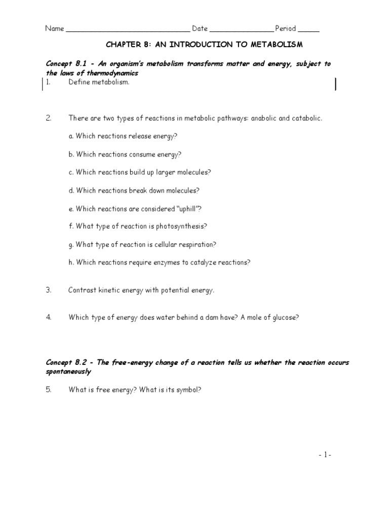 Metabolism Worksheet and Key Concepts | PDF | Enzyme | Enzyme Inhibitor