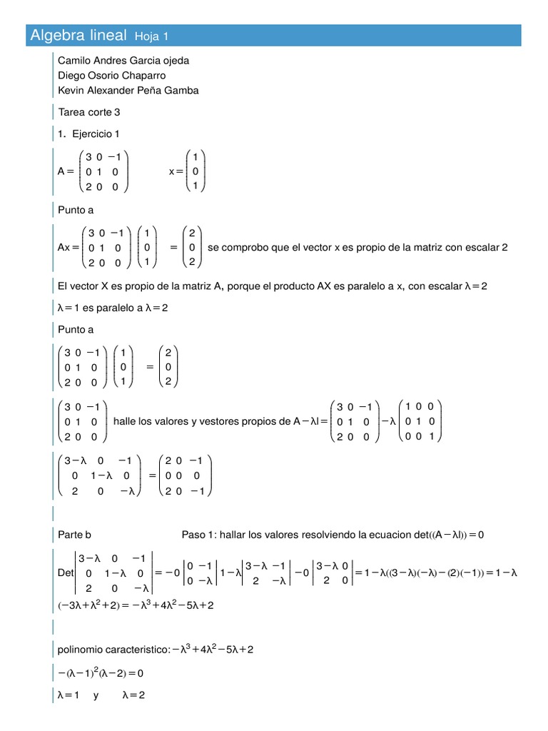 Algebra Lineal | PDF | Perpendicular | Vector Euclidiano